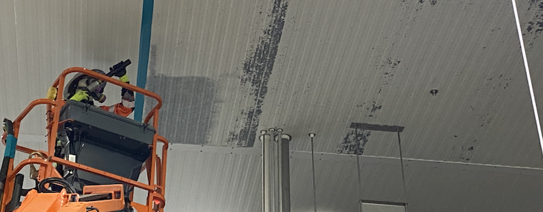What is Surface Preparation in Painting?